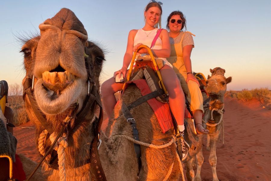 Uluru Sunrise Camel Experience | Uluru Camel Tours - Outback Tours