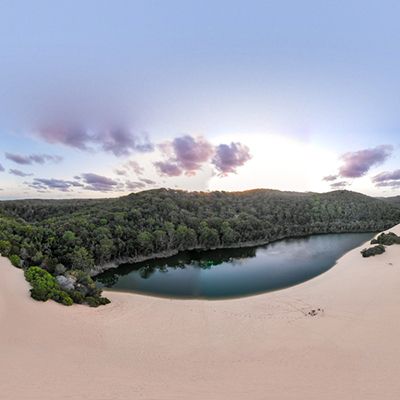 Magnetic Island Breakfast With Koalas | East Coast Tours Australia